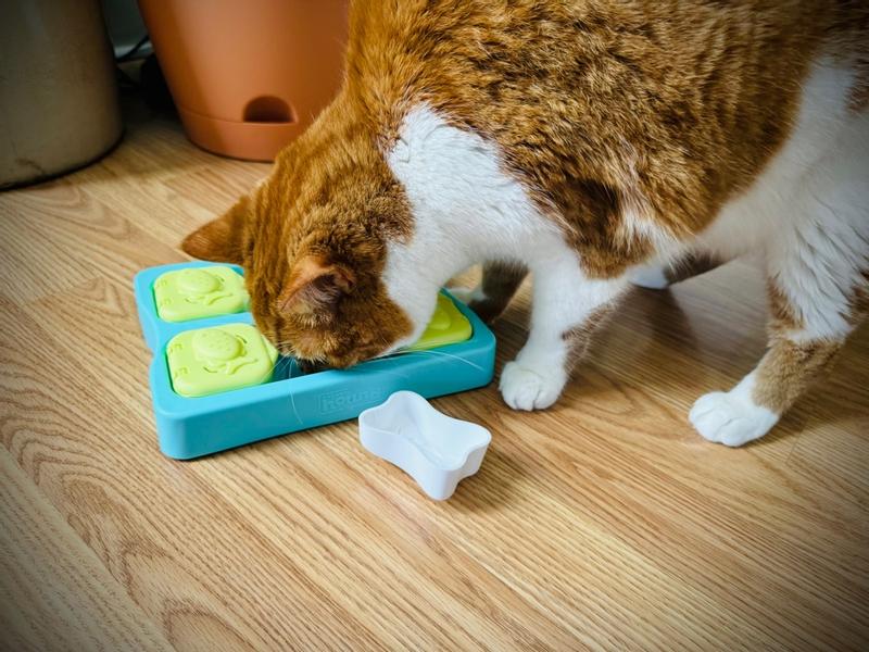 Catstages Kitty Cube Puzzle Toy for Cats | Petco