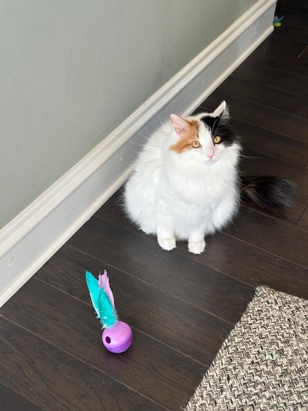 Catstages Wobble N' Treat Toy Treat Stuffer Cat Toy | Petco