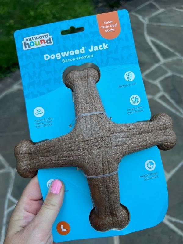 Outward Hound Brown Dogwood Jack Dog Toy, Medium | Petco