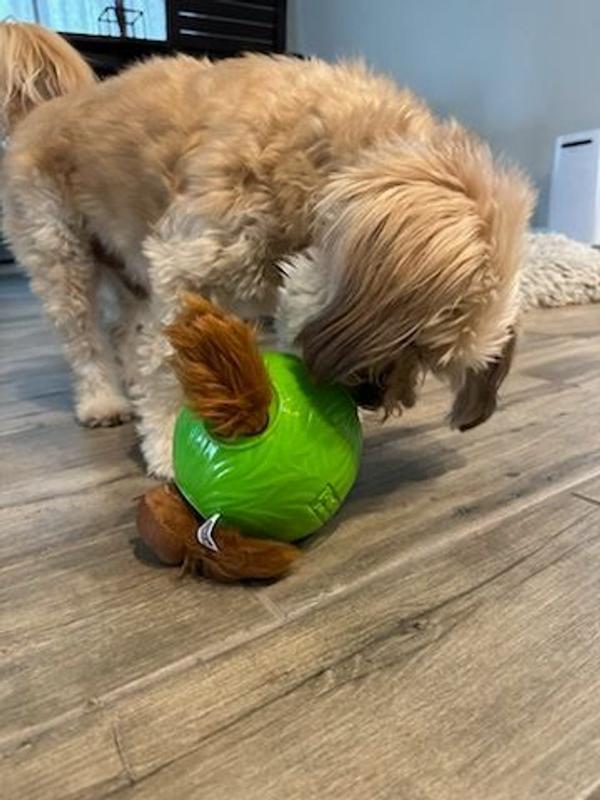 Outward Hound Nina Ottosson Snuffle N' Treat Ball Dog Toy, Small | Petco