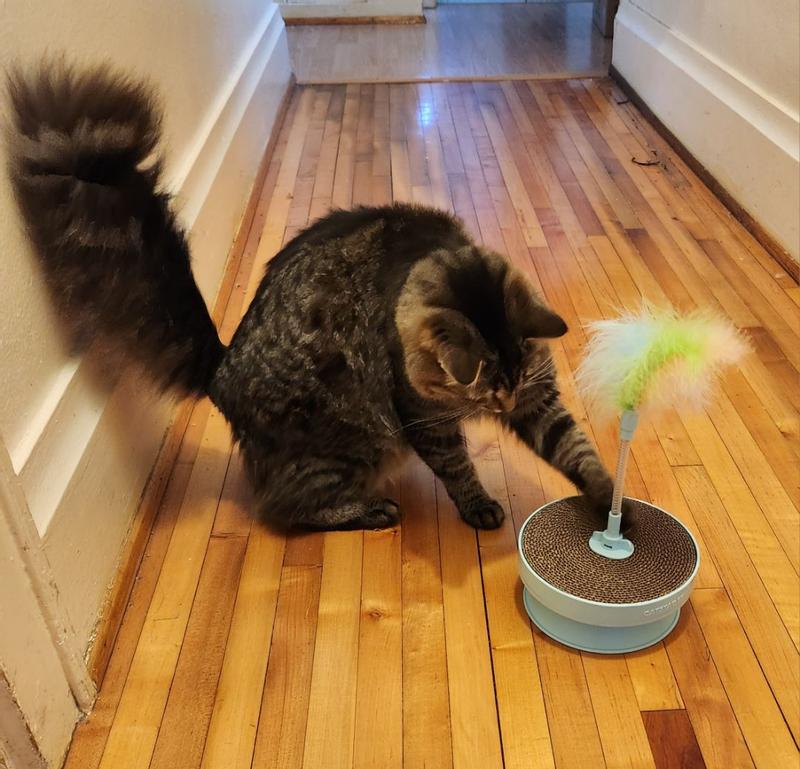 Catstages 2-in-1 Scratch & Bat Toy Cat Toy and Ball Track Topper | Petco