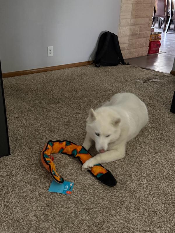 Outward Hound Invincibles Snake Dog Toy at Tractor Supply Co