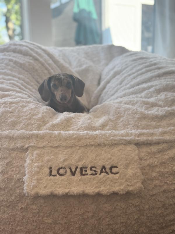 Lovesac - Select Sac Covers
