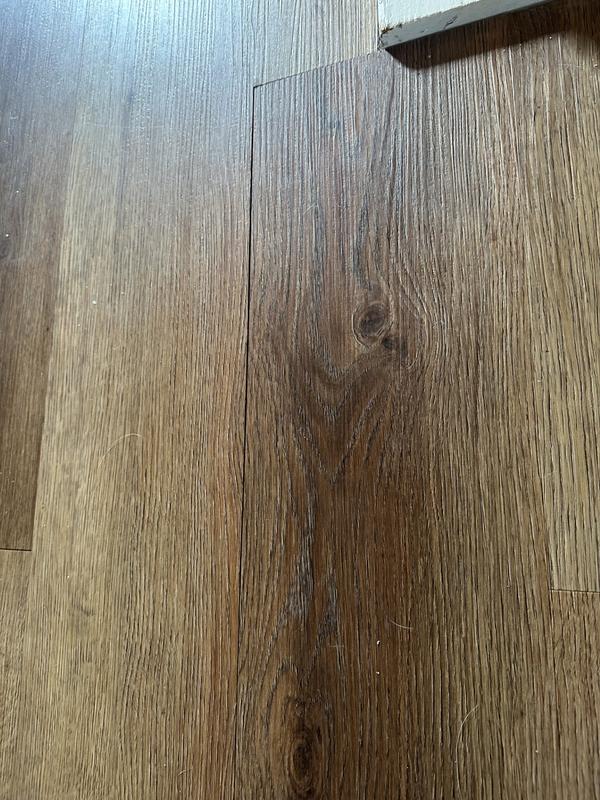 STAINMASTER Austen Oak Brown 12-mil x 7-3/32-in W x 47-in L Waterproof ...