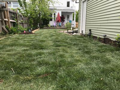 Harmony Outdoor Brands 500-sq ft Natural Bluegrass Sod Pallet ...