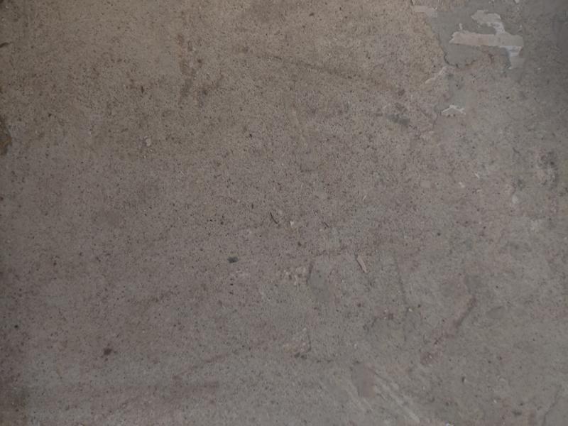 STAINMASTER Ferndale Oak 6-in x 24-in Matte Porcelain Wood Look Floor ...