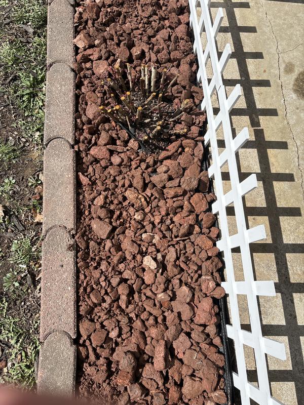 Oldcastle 0.5 cu ft Red Garden rock 0.5 - 1.5-in in the Landscaping ...