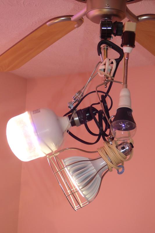 Utilitech Grow bulb 40-Watt EQ Full Spectrum Medium Base (e-26) LED ...