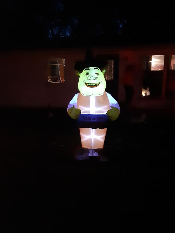 Universal 6.5-ft Lighted Shrek Inflatable 229421 at Lowes.com