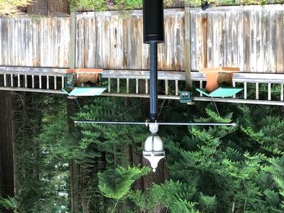 IMPERIAL 8-in Black Steel Stove Pipe Cap BM0374-A at Lowes.com