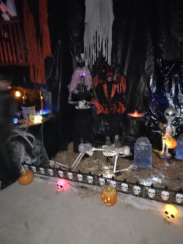 Haunted Living 5.6-ft Decayed Skeleton Statue in the Halloween Decor ...