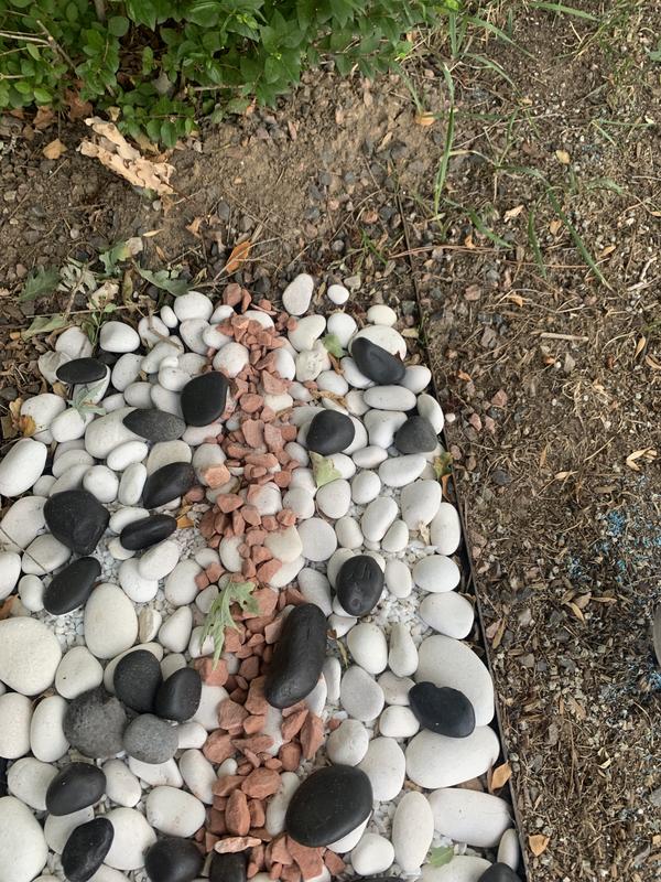 Permagreen 0.5-cu ft 45-lb Red Garden Rock (0.5- 3-in Rock Size) 381376 ...