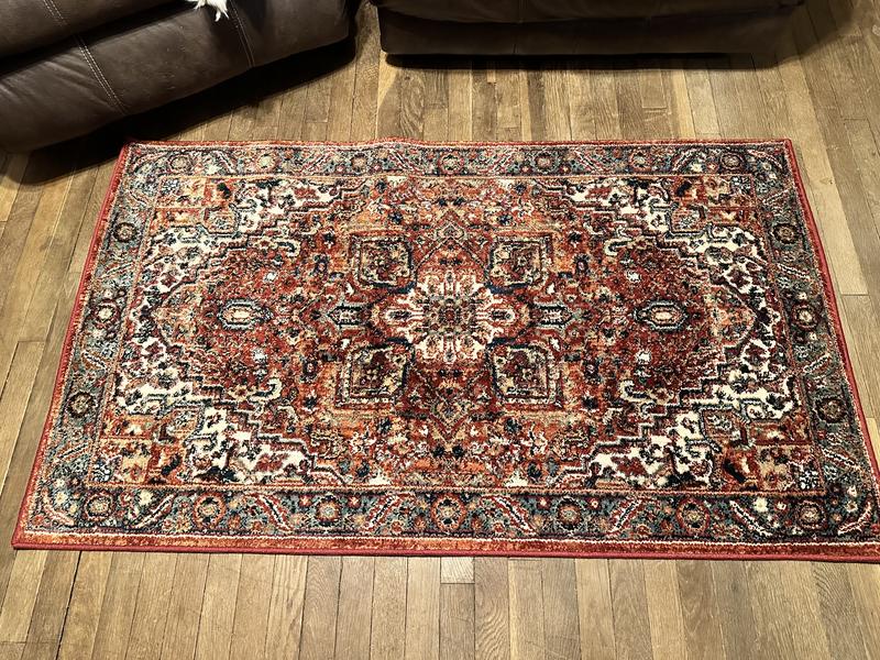 allen + roth with STAINMASTER Jezebel Performance 3 x 5 (ft) Loomed ...