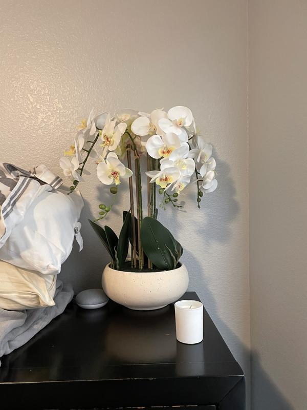 allen + roth 22-in White Indoor Orchid Artificial Flower in the ...