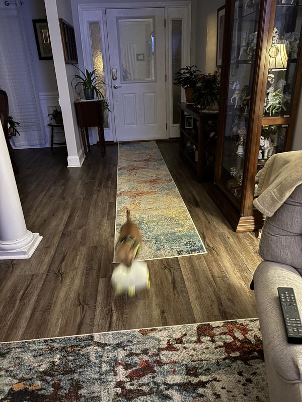 Multipet Hedgehog Pet Toy - Fun Grunting Sound - Bright Colors ...