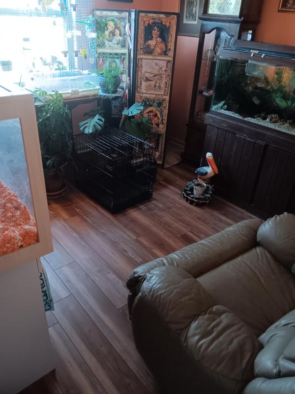 SMARTCORE Ultra Blue Ridge Pine Brown 12-mil Waterproof Interlocking ...