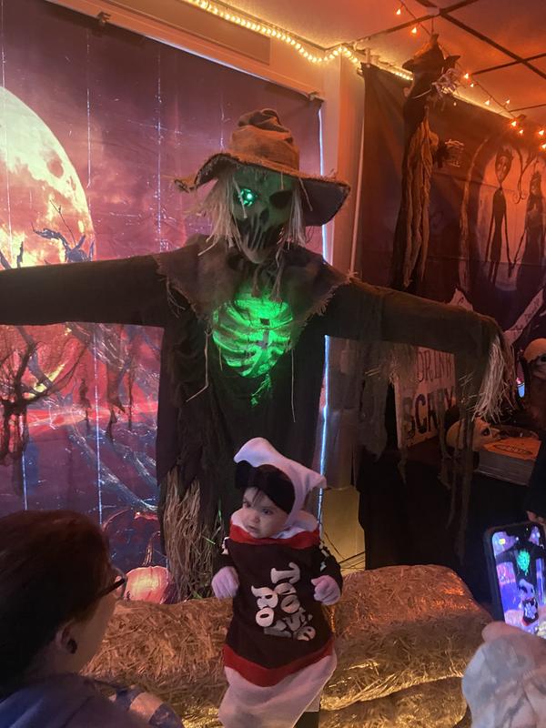 Warner Brothers 5-ft Licensed Halloween Backdrop in the Halloween Decor ...