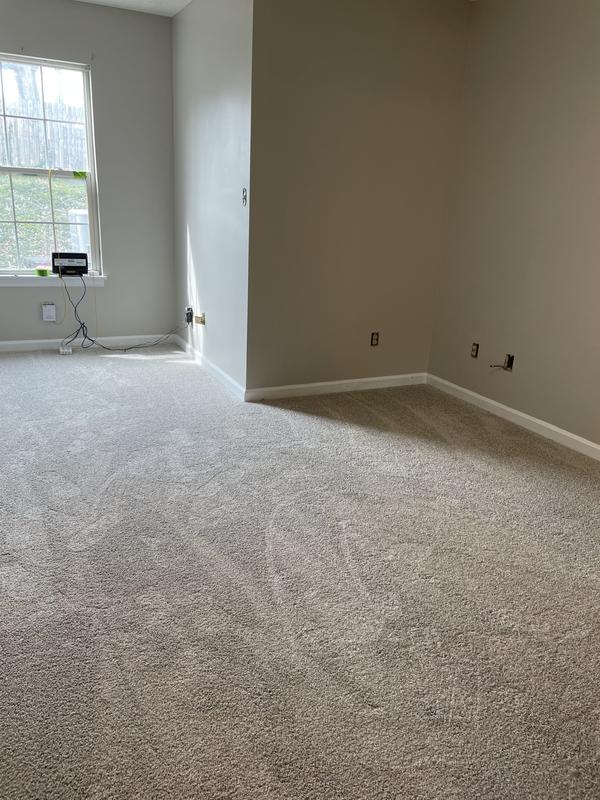 STAINMASTER Paradise I Driftwood Gray 45-oz sq yard Polyester Textured ...