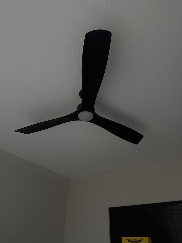 Parrot Uncle 60-in Matte Black with Dark Walnut Blades Color-changing ...