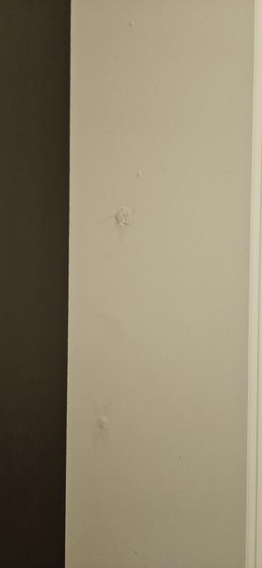 Masonite 30-in x 80-in (primed) 2-panel Smooth Hollow core Primed ...