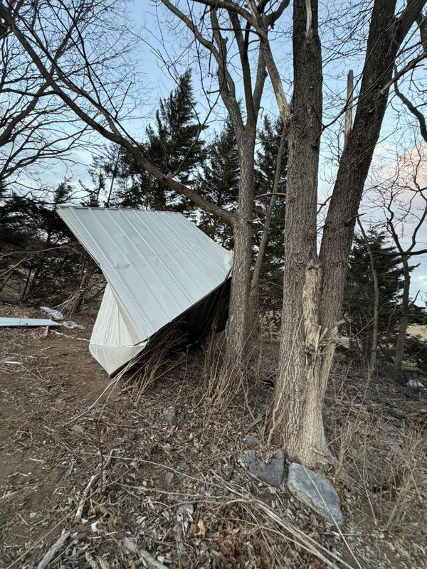 Shop Arrow Arrow 10-ft x 8-ft High Point Galvanized Steel Storage Shed ...