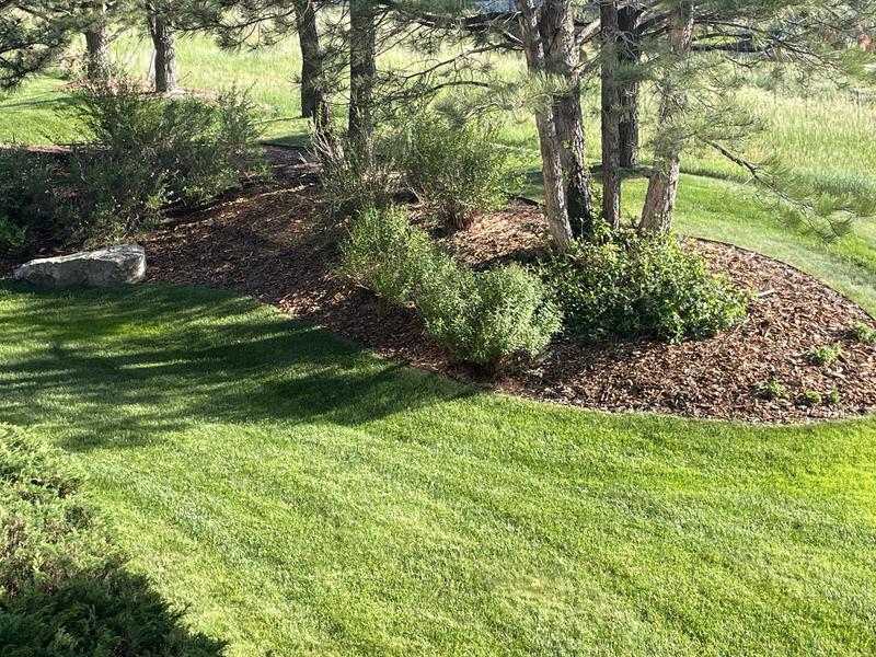 Permagreen 2-cu ft Light Brown Pine Bark Nuggets Mulch 252972 at Lowes.com
