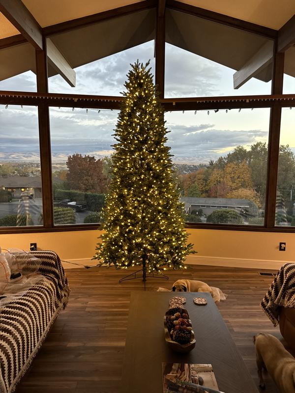 GE 7.5-ft Pinehurst Fir Easy Shape Pre-lit LED Artificial GE 7.5-ft Pinehurst Fir Easy Shape Pre-lit LED Artificial