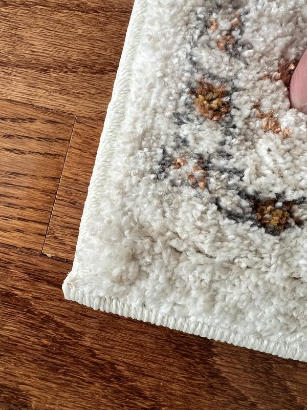 allen + roth with STAINMASTER Camille Border 8 X 10 (ft) Beige Indoor ...