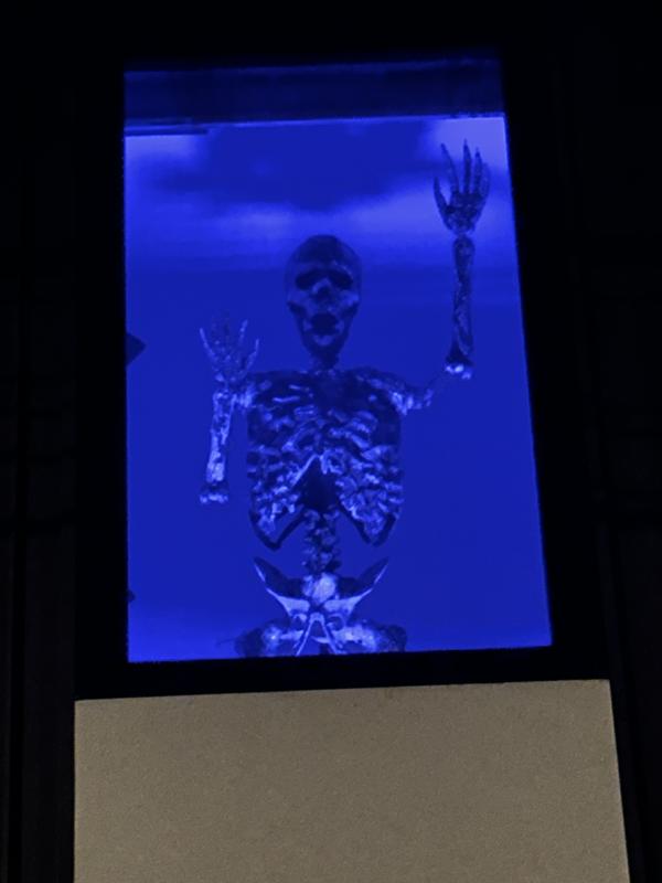 Haunted Living 5.6-ft Decayed Skeleton Statue in the Halloween Decor ...