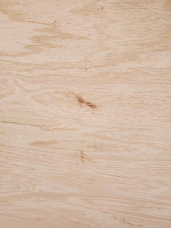 3/4-in x 4-ft x 8-ft Oak Sanded Plywood in the Plywood & Sheathing ...