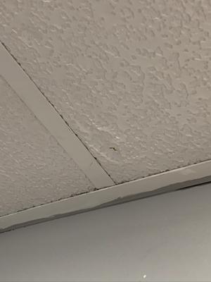 Shop Armstrong Ceilings Random Fissured Fiberglass Contractor 4-ft x 2 ...
