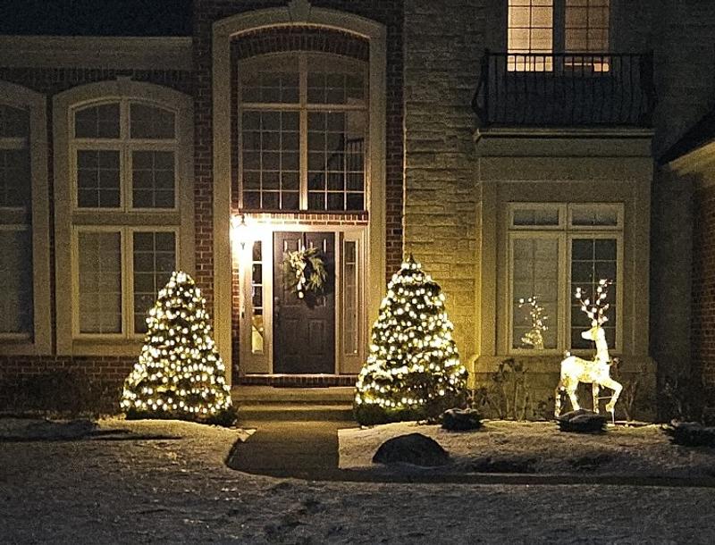 Holiday Living 5-ft LED Gold Sparkle Buck Deer Decoration ES79-080L at ...