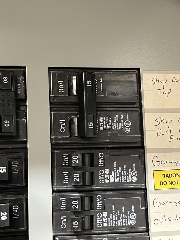 Eaton Type BR 125-amp 2-Pole Standard Trip Circuit Breaker BR2125 at ...