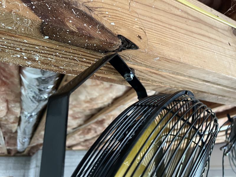 EdenDirect 12-in Indoor Yellow Wall Mounted Fan in the Wall Mounted ...