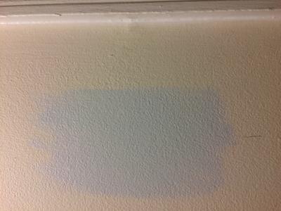 HGTV HOME by Sherwin-Williams Sterling White HGSW4056 Paint sample ...