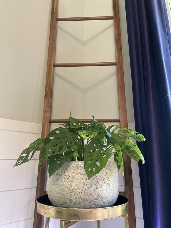 Casual Home Natural Walnut Clothing rack in the Blanket Ladders ...