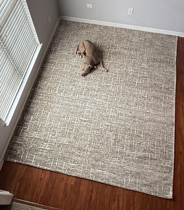 Origin 21 Celestial Aura 5 X 8 (ft) Sahara Mink Indoor Area Rug 33057 ...