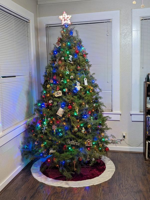 Holiday Living Douglas Fir 7-8 in the Fresh Christmas Trees department ...