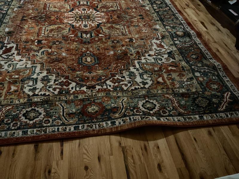 allen + roth with STAINMASTER Jezebel Performance 5 x 8 (ft) Loomed ...