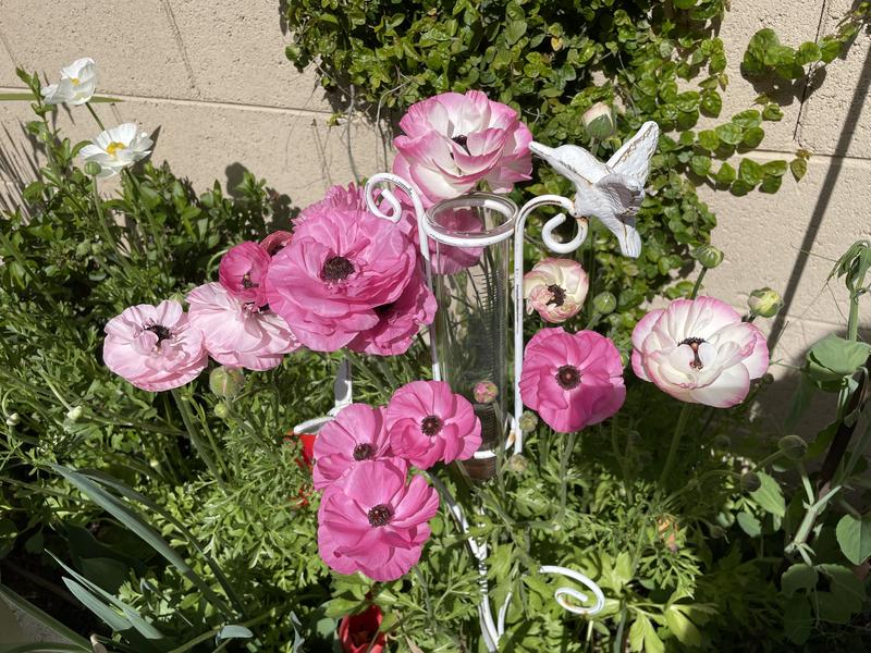 Alaska Morbloom 1-Gallon 0-10-10 Natural Liquid Flower Food 9301310 at ...