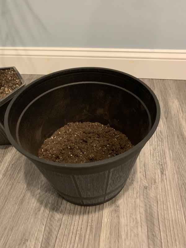 Ready Refill Round 12.2-in W x 12.2-in L Brown Recycled plastic Indoor ...