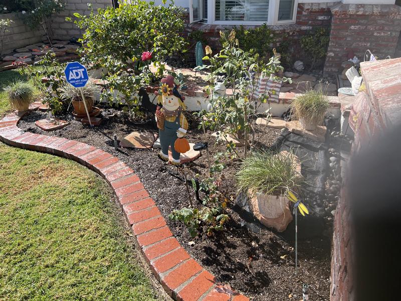 Holiday Living 3-ft Harvest Scarecrow Boy Yard Stake Decor 83B0003A at ...