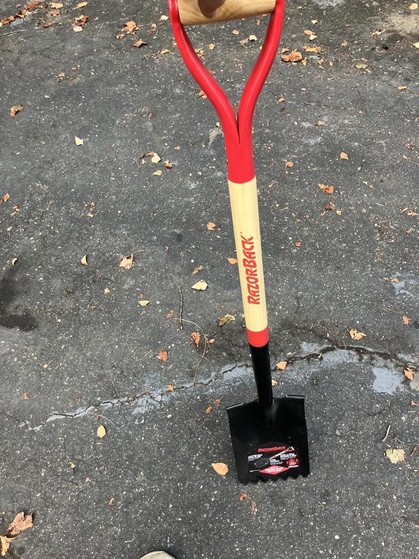 Razor-Back 29-in Wood D-Handle Drain Spade 47103 at Lowes.com