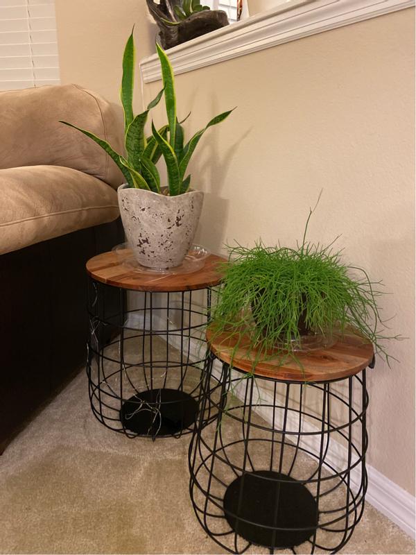 allen + roth 2-pack 18-in H x 15.5-in W Black Indoor/Outdoor Round ...