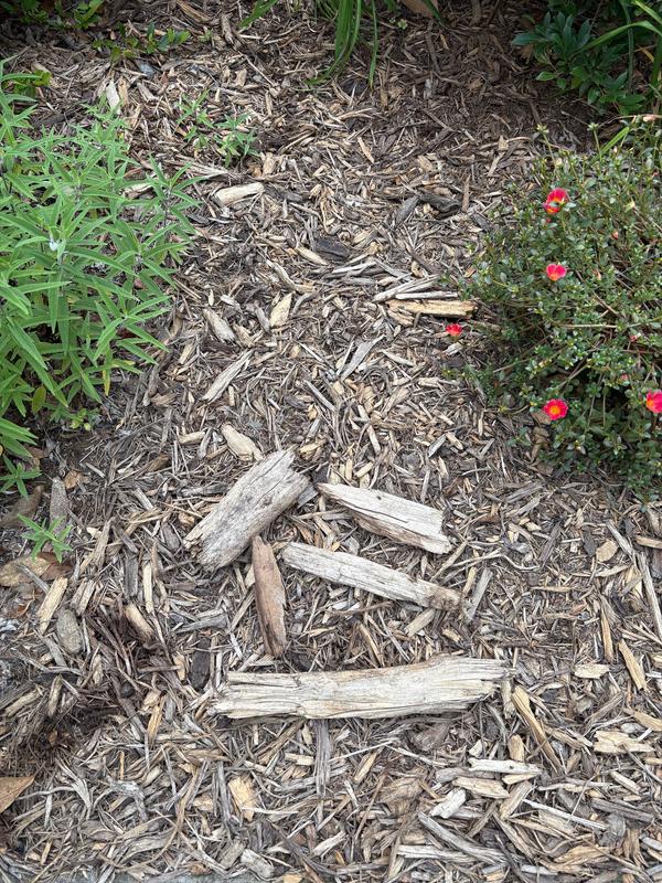 Timberline 2-cu ft All Natural Hardwood Bark Hardwood Mulch 52055476 at ...