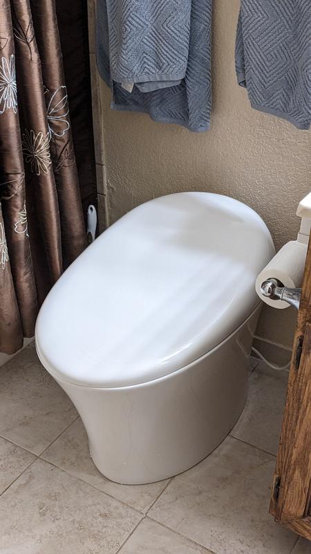 Project Source Bidet Toilet White Single Elongated Standard Height ...
