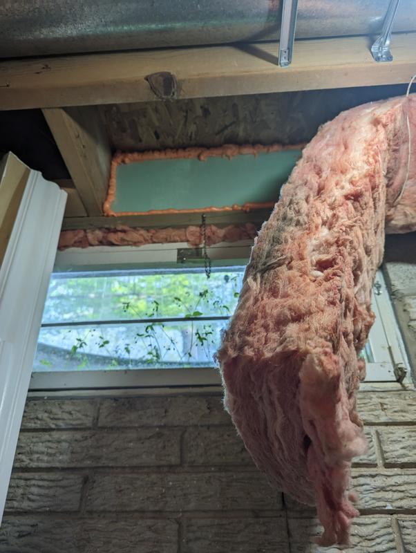 ENERFOAM 25 Professional Foam Sealant and Adhesive 24-oz Spray gun ...