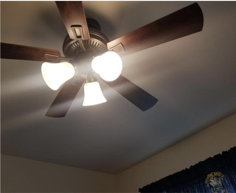 Utilitech Frosted Glass 100 -Watt EQ A19 Daylight Screw bases Dimmable ...