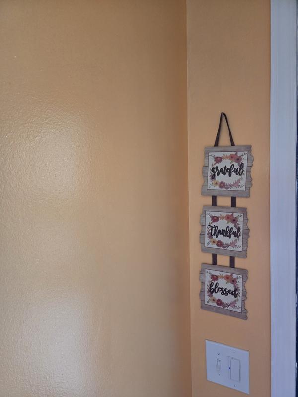 Valspar Ultra Semi-gloss Heirloom Red 1010-3 Latex Interior Paint ...