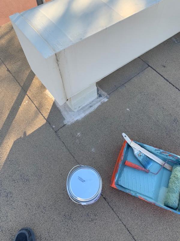 AMES Maximum-Stretch 1-gallon White Elastomeric Reflective Roof Coating ...